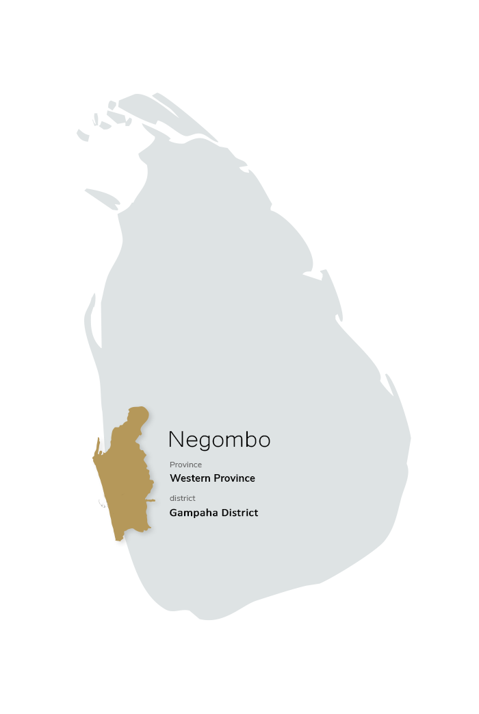 Negombo | Truly Sri Lanka