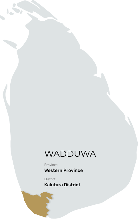 Wadduwa | Truly Sri Lanka